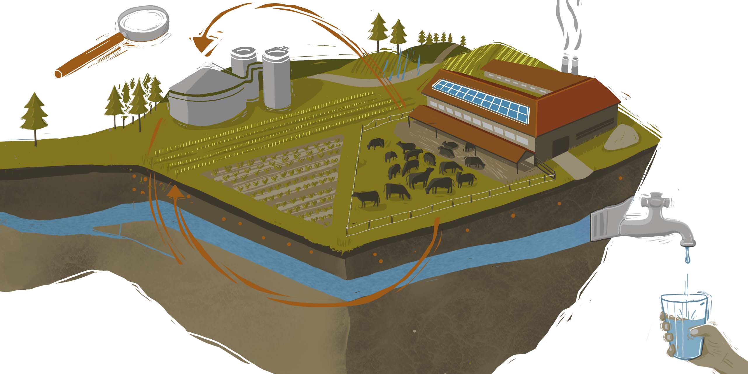 Infografik zu Nitrat – Sarah Heuzeroth