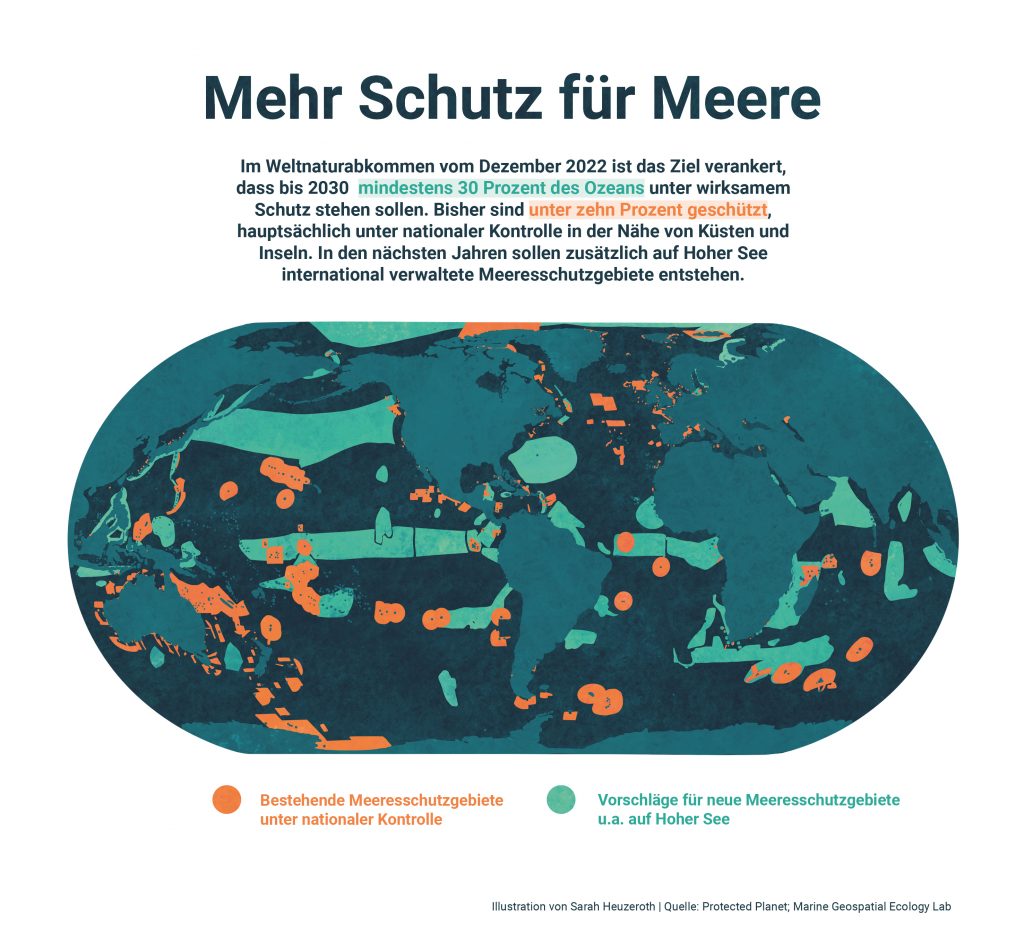 Mehr Schutz für Meere – Sarah Heuzeroth